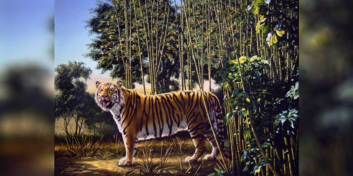 The hidden tiger illusion by "Rusty" Rust | SF Globe